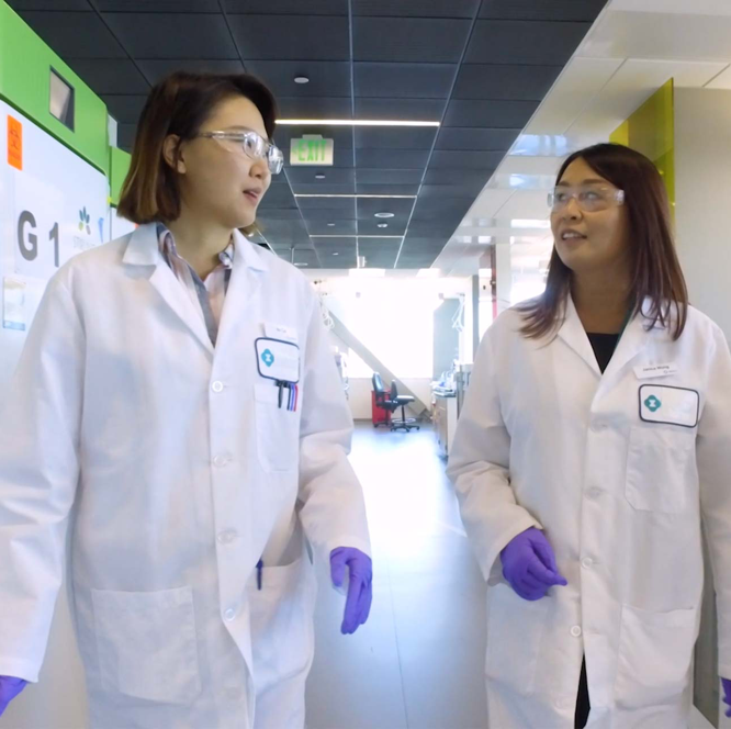 Investigación - MSD Ecuador