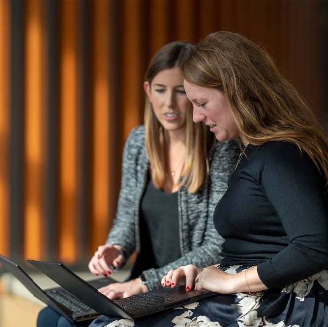 Proveedores - MSD Ecuador