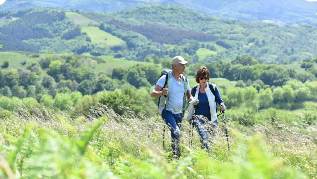 Página principal - MSD Ecuador