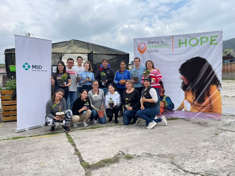 Página principal - MSD Ecuador